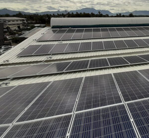 Vision Energy Solutions – Powering Fiji Sustainably
